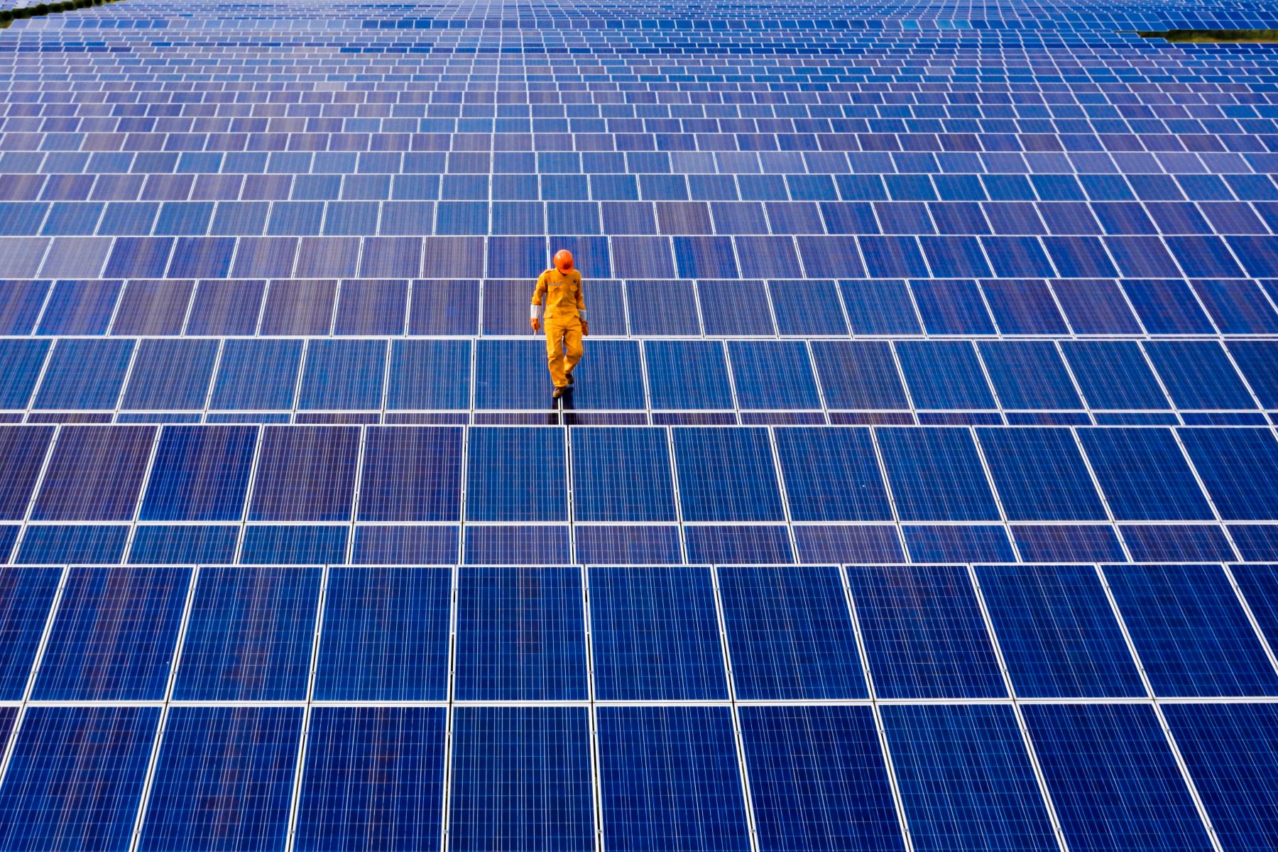 Investor Login - Magnesium Capital