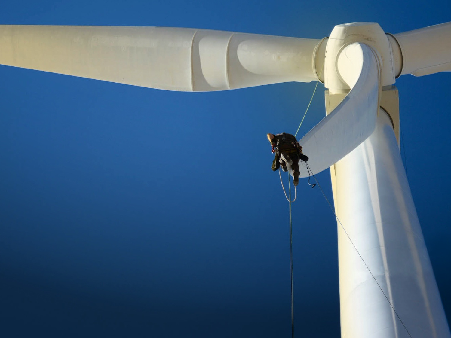 Investments - Magnesium Capital